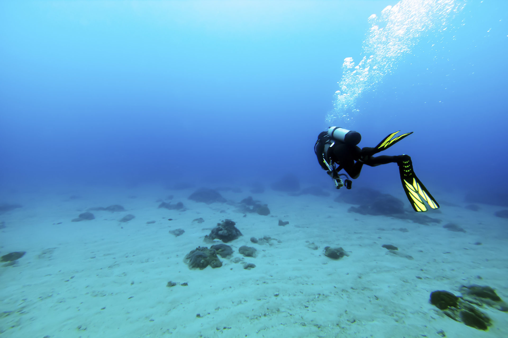 dive-goa | Dive Goa